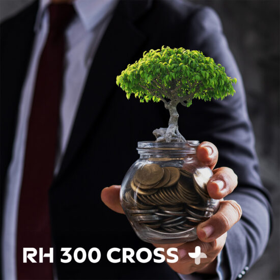 RH 300 CROSS + - Radiohouse